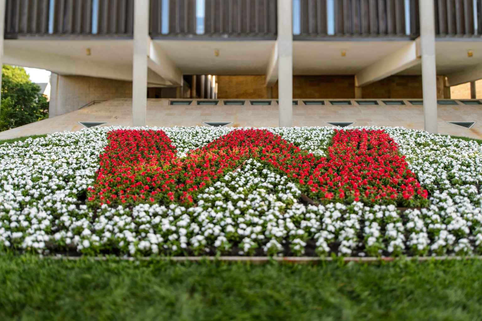 Undergraduate Admissions - Mead Witter School of Music